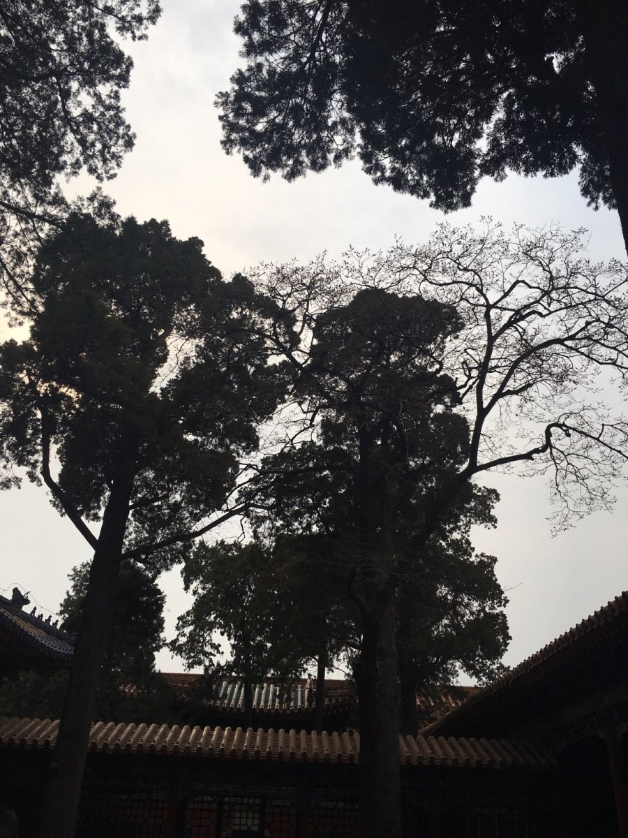 About – William Pei Shih